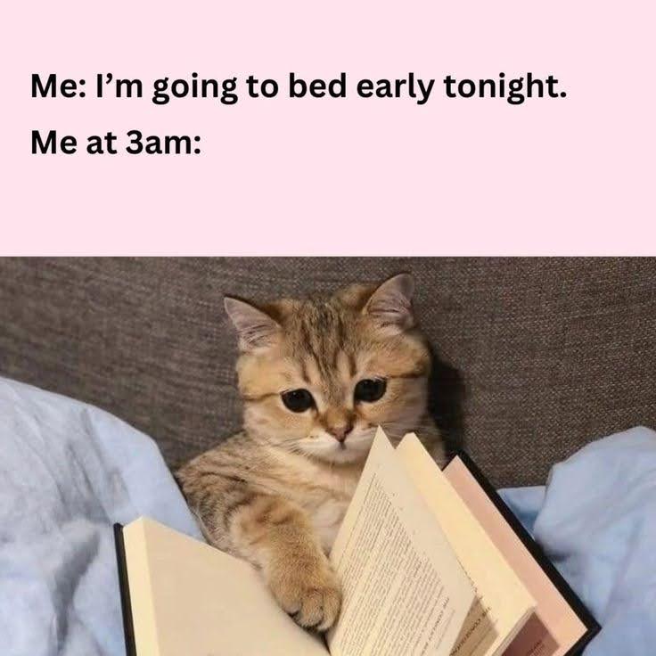 Funny Book Memes: 50+ Relatable Reader Moments in 2026