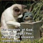 Funny Book Memes: 50+ Relatable Reader Moments in 2026